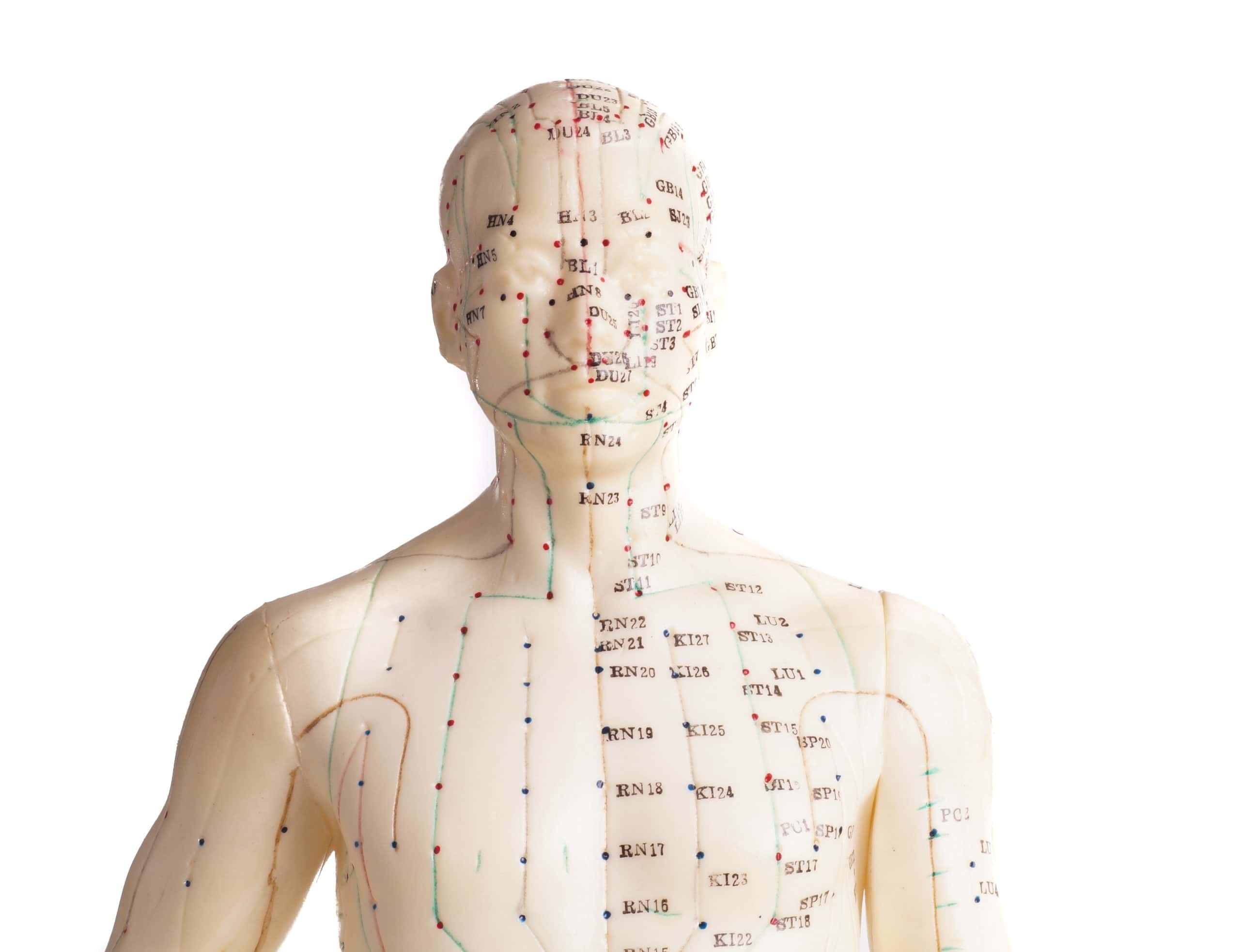The Triple Burner Meridian and Therapeutic Massage